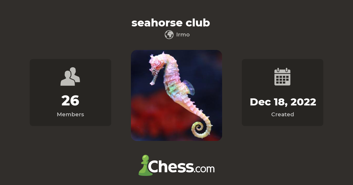 seahorse club - Chess Club - Chess.com