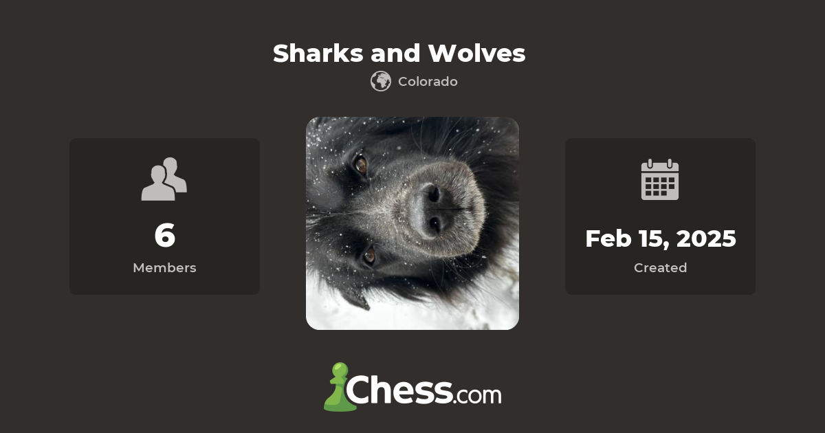 Sharks and Wolves - Chess Club - Chess.com