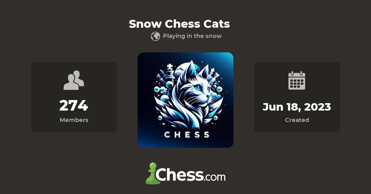 Snow Chess Cats - Chess Club - Chess.com