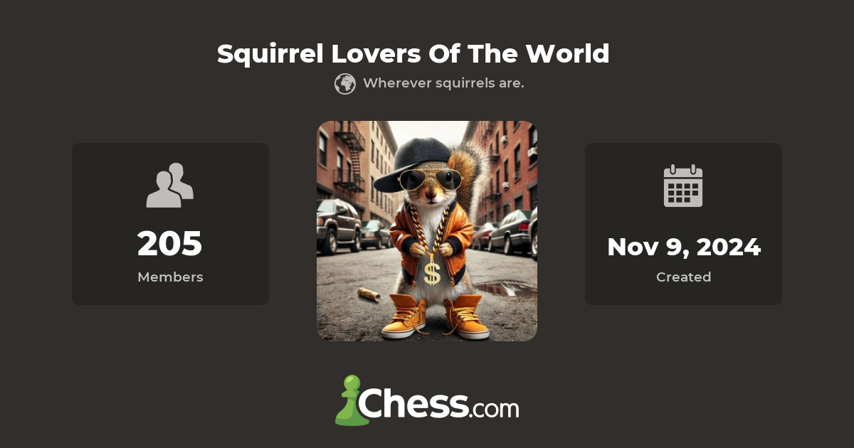 Squirrel Lovers Of The World - Chess Club - Chess.com