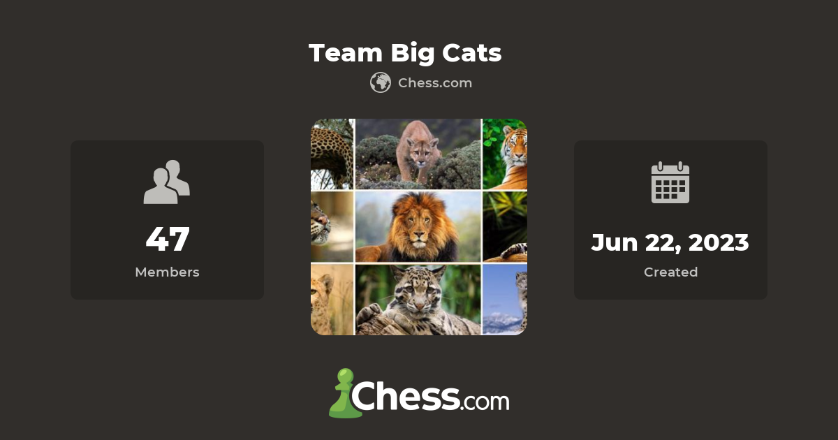 Team Big Cats - Chess Club - Chess.com