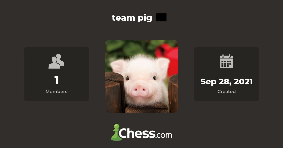 team pig - Chess Club - Chess.com