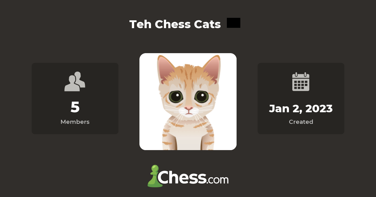 Teh Chess Cats - Chess Club - Chess.com