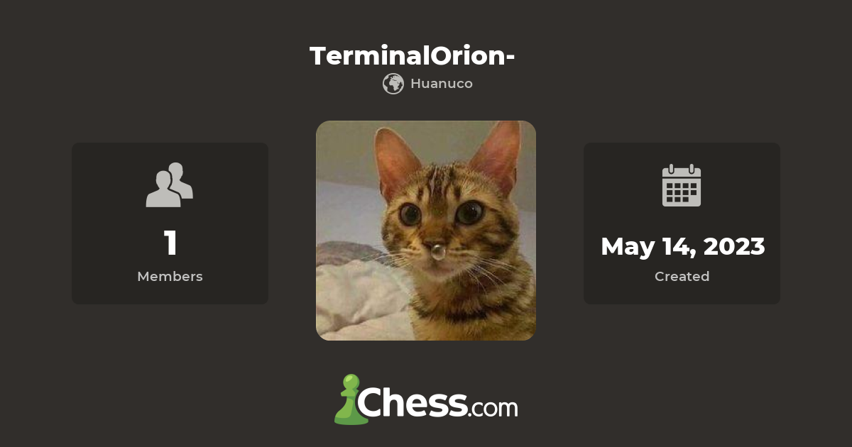 TerminalOrion- - Chess Club - Chess.com