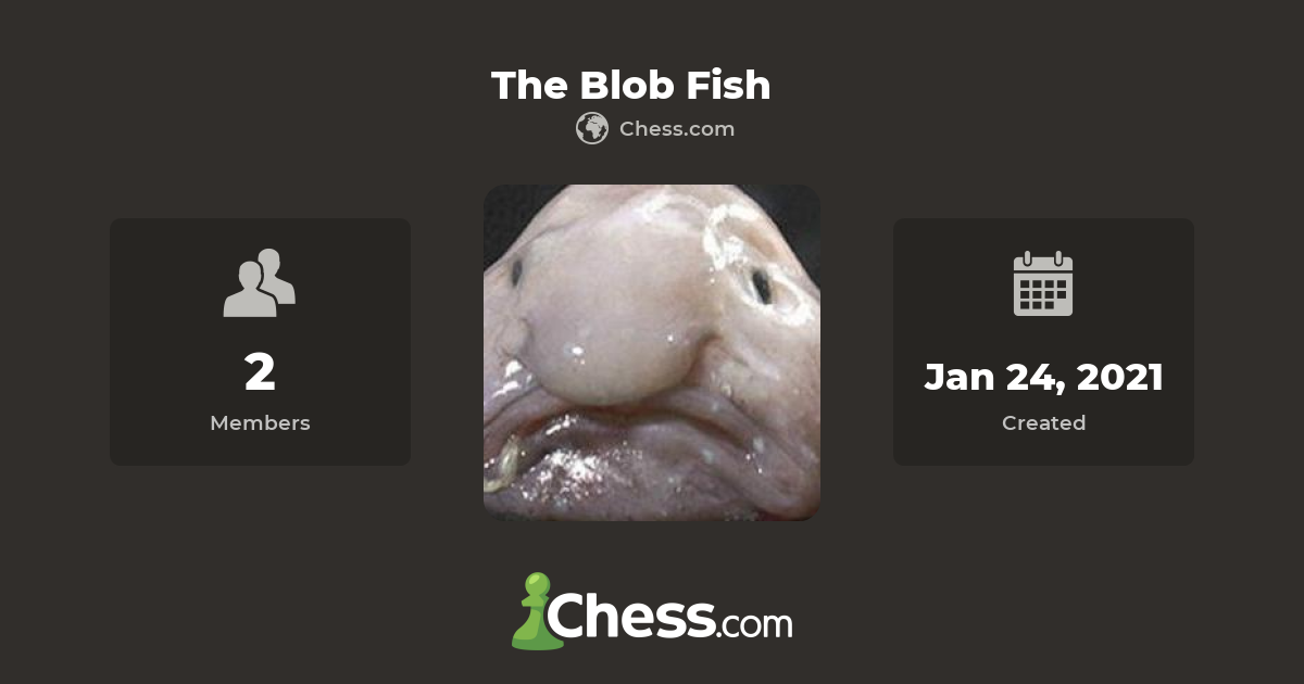 The Blob Fish - Chess Club - Chess.com