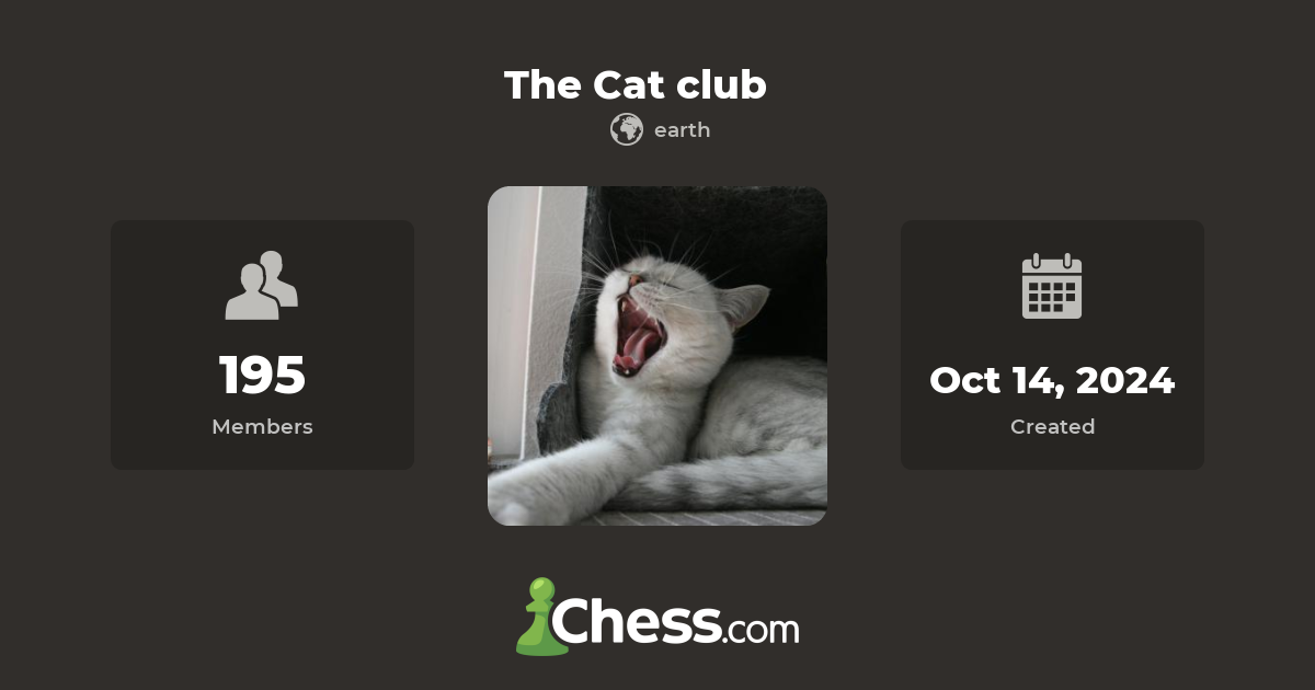The Cat club - Chess Club - Chess.com