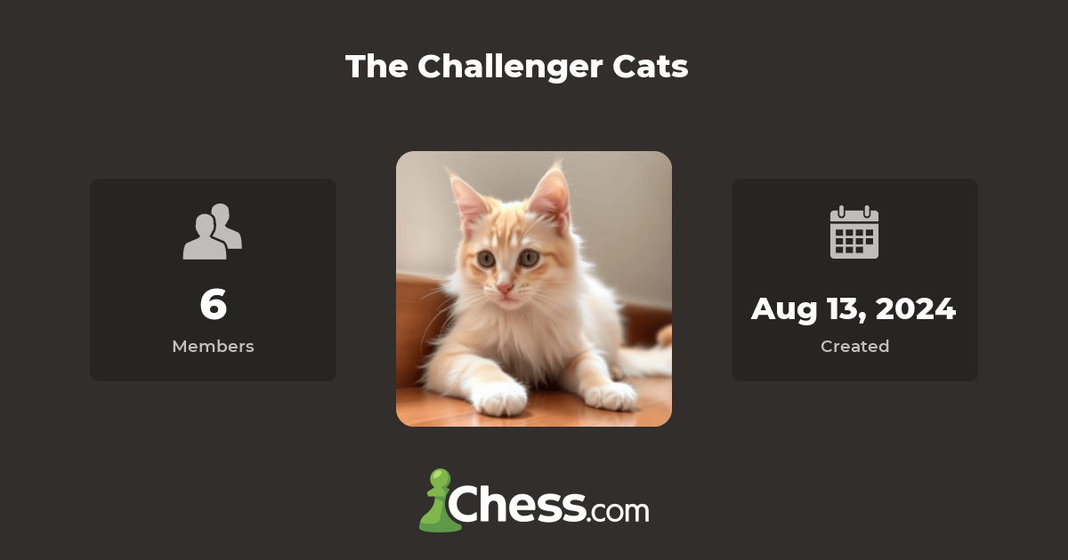 The Challenger Cats - Chess Club - Chess.com