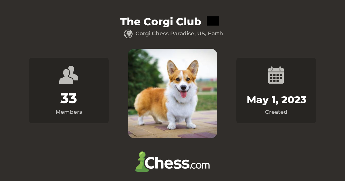 The Corgi Club - Chess Club - Chess.com