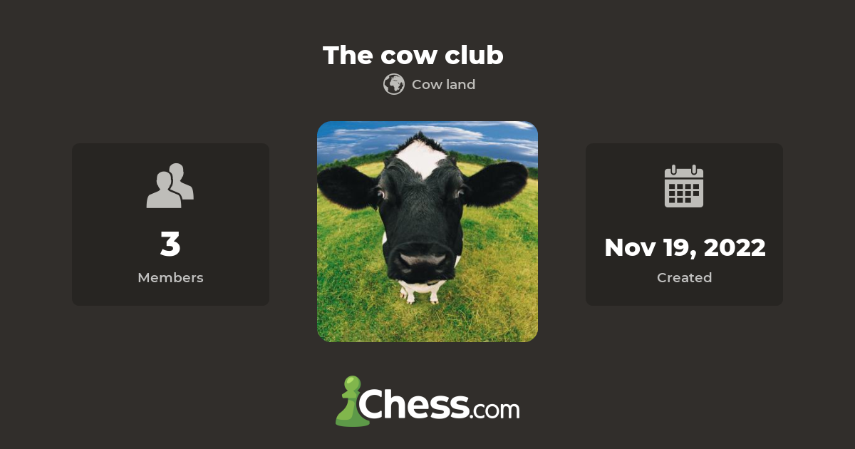 The cow club - Chess Club - Chess.com