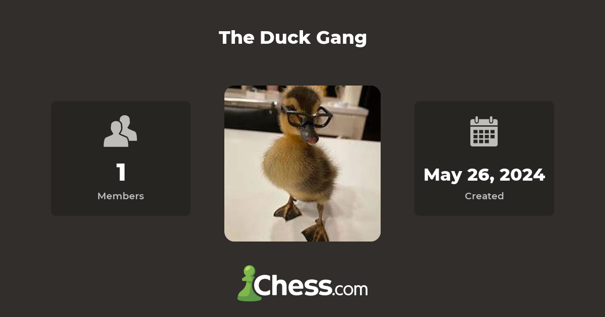 The Duck Gang - Chess Club - Chess.com