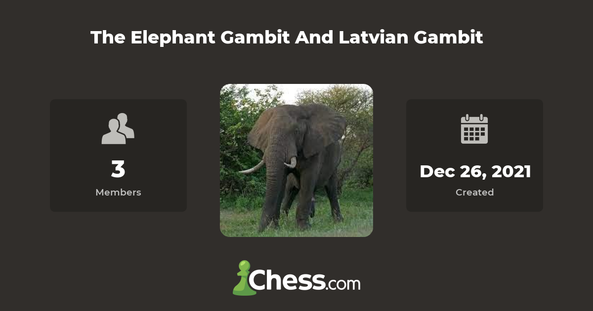 The Elephant Gambit And Latvian Gambit - Chess Club - Chess.com