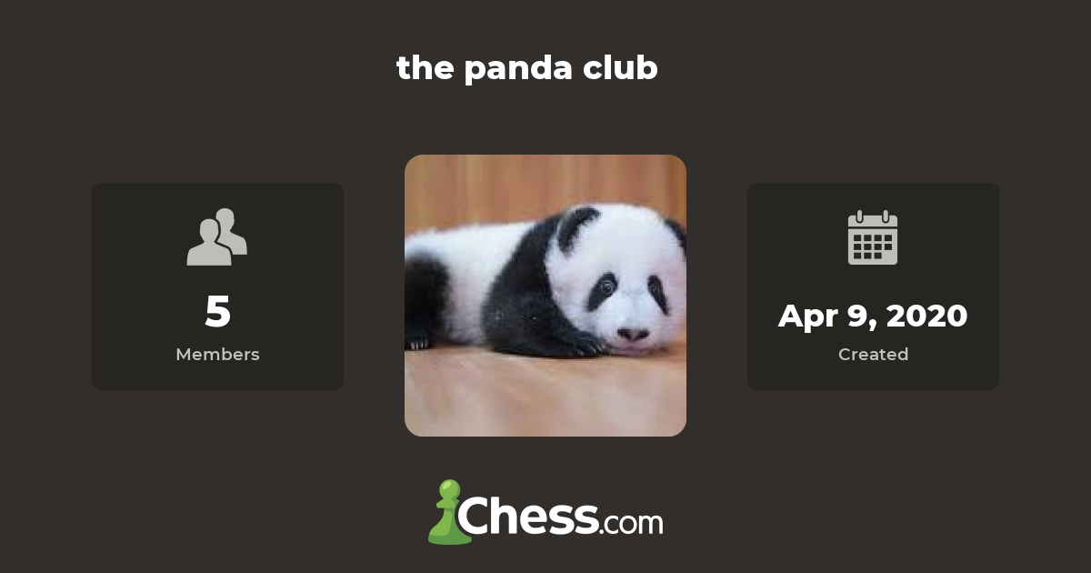 the panda club - Chess Club - Chess.com