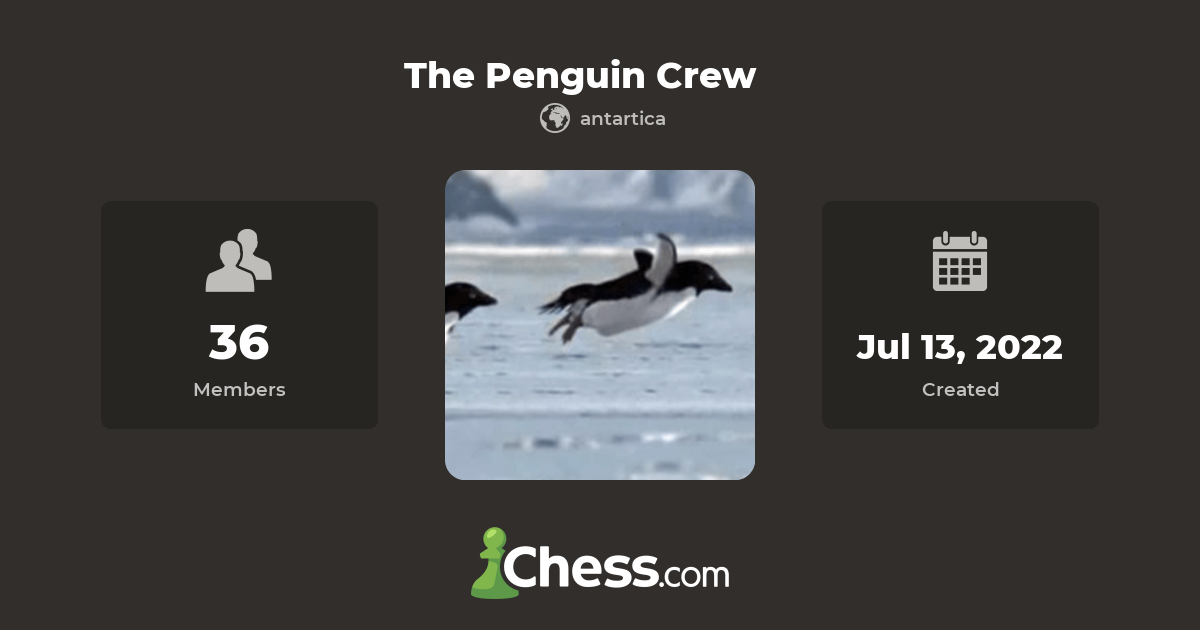The Penguin Crew - Chess Club - Chess.com
