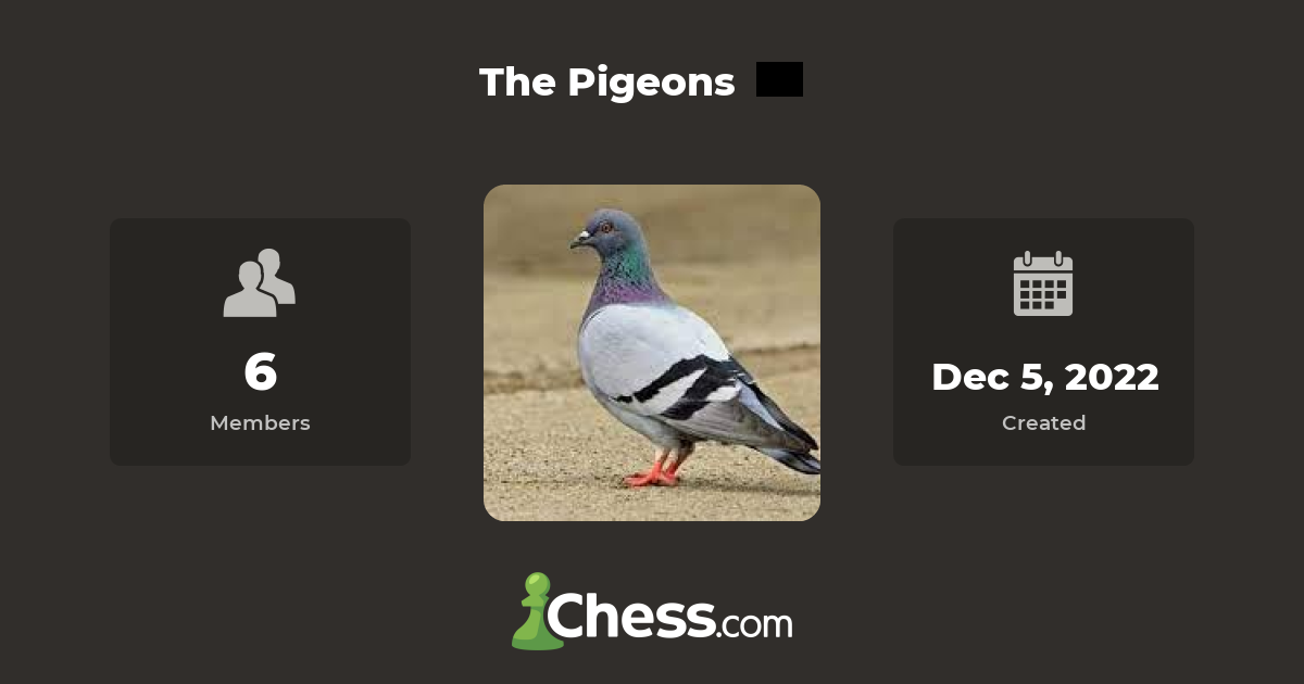 The Pigeons - Chess Club - Chess.com