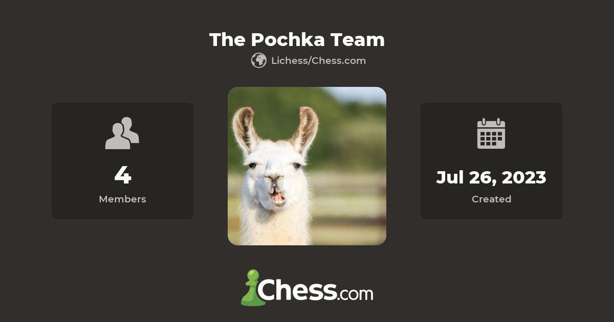 The Pochka Team - Chess Club - Chess.com