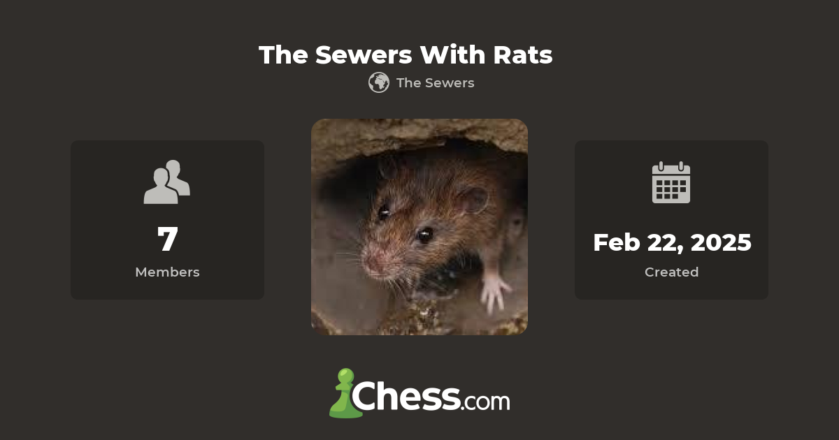 The Sewers With Rats - Chess Club - Chess.com