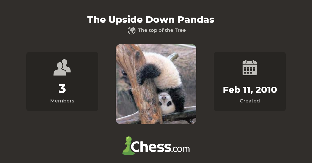 The Upside Down Pandas - Chess Club - Chess.com