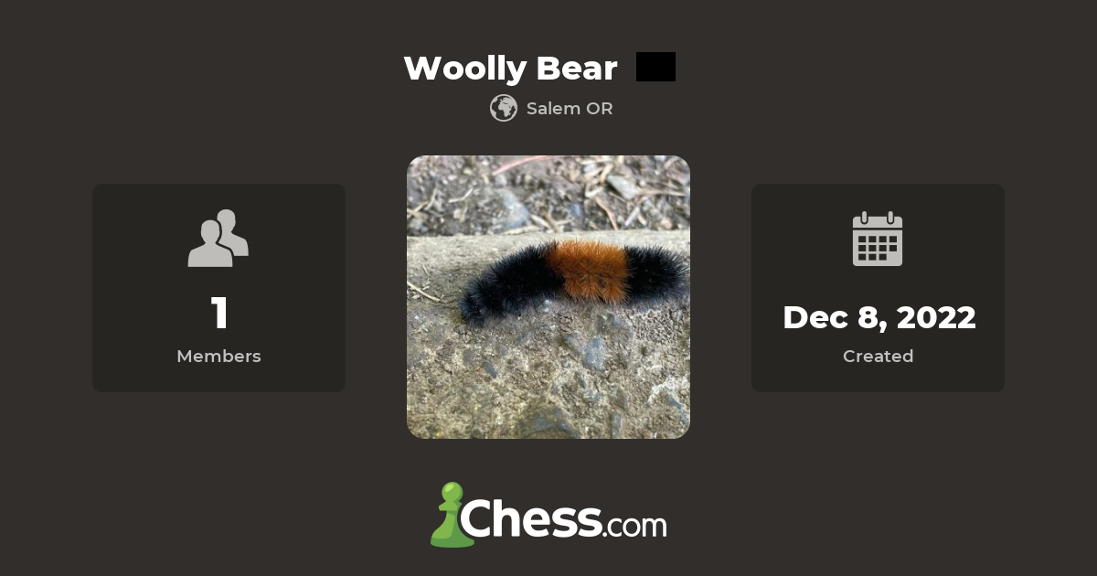 Woolly Bear - Chess Club - Chess.com