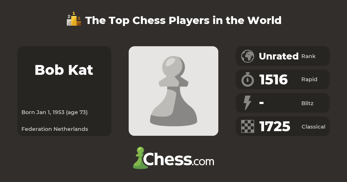 Bob Kat | Top Chess Players - Chess.com