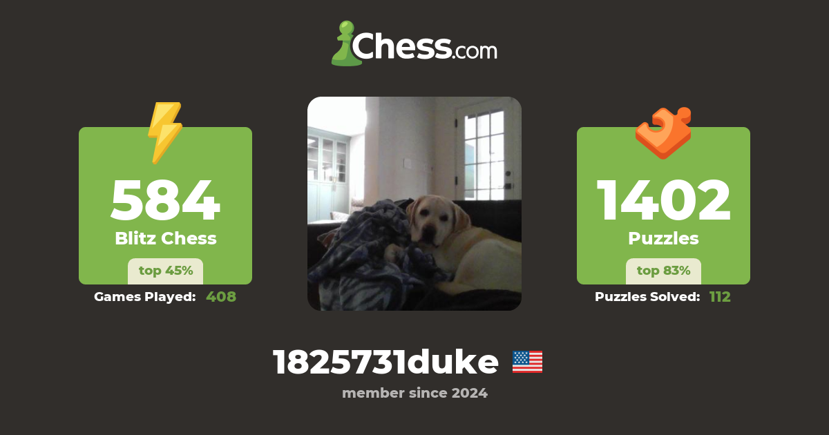 The Terminator (1825731duke) - Chess Profile - Chess.com