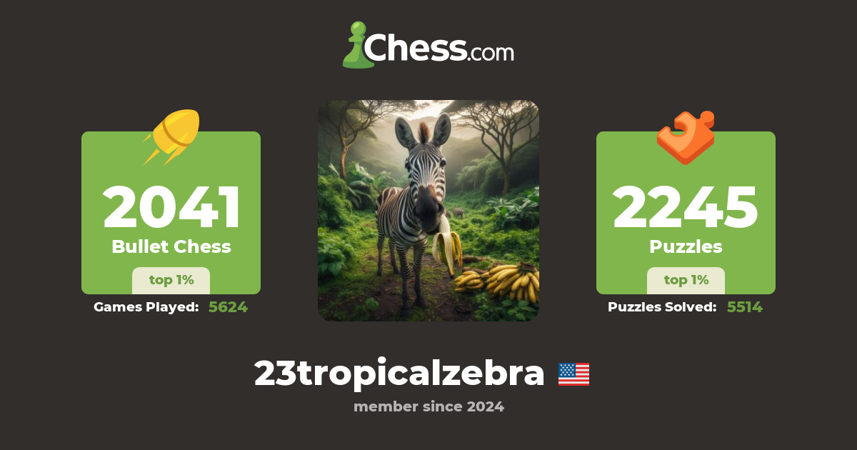 James (23tropicalzebra) - Chess Profile - Chess.com