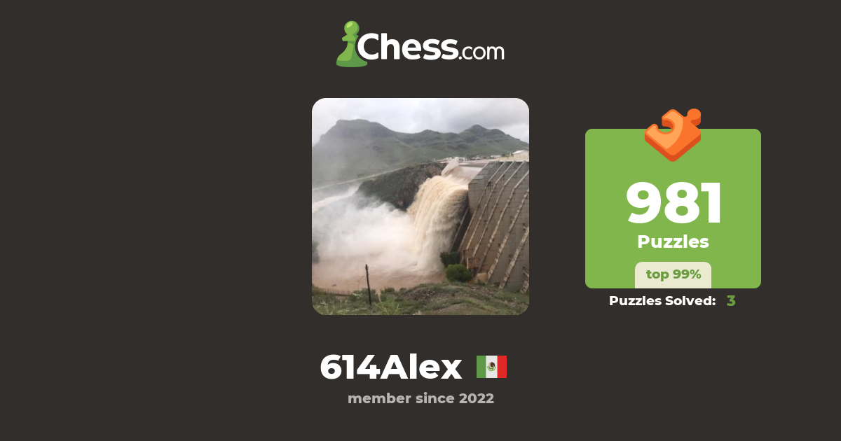 Alex (614Alex) - Chess Profile - Chess.com