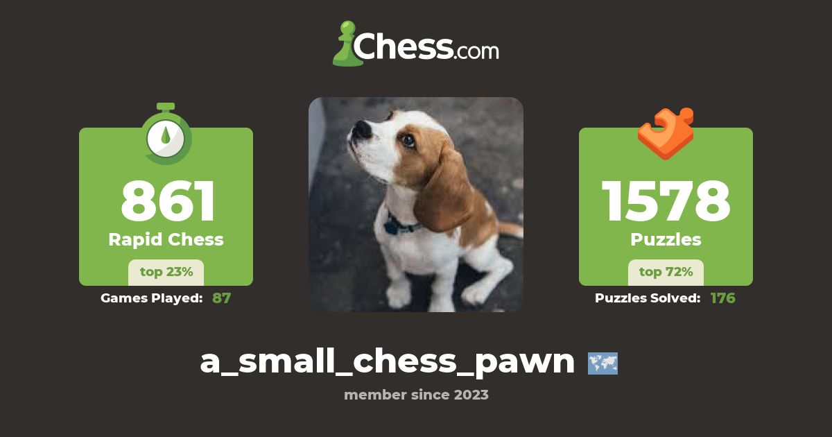 a_small_chess_pawn - Chess Profile - Chess.com