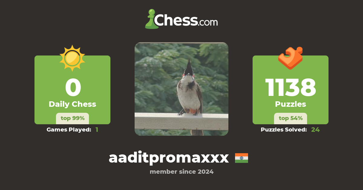 aaditpromaxxx - Chess Profile - Chess.com