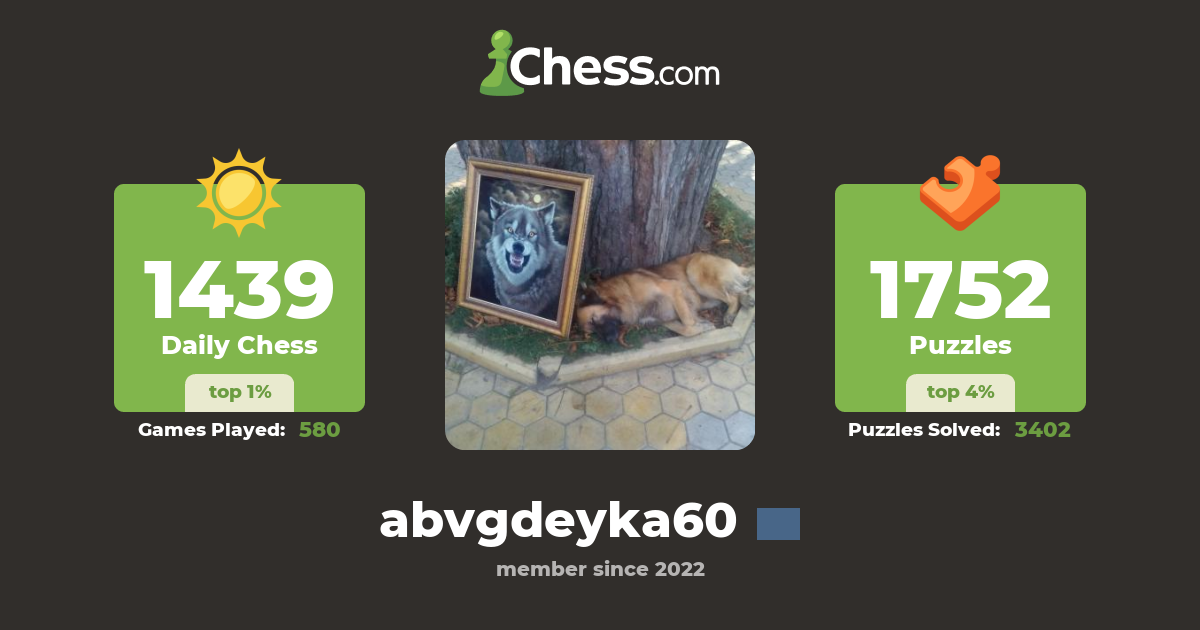 abvgdeyka60 - Chess Profile - Chess.com