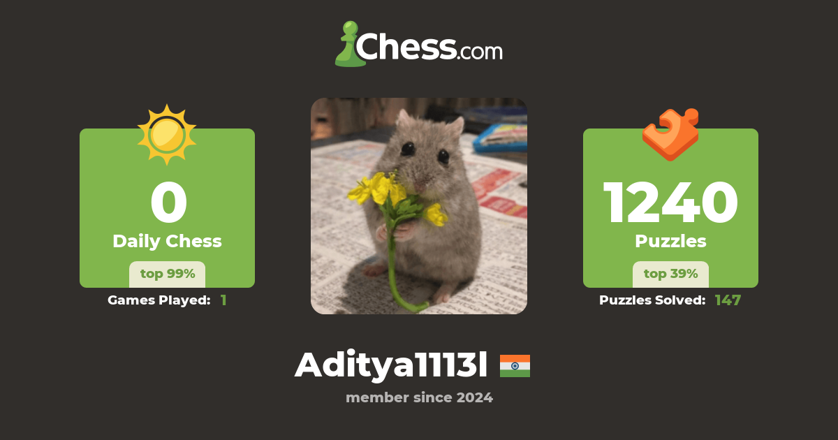 Aditya Kumar (Aditya1113l) - Chess Profile - Chess.com