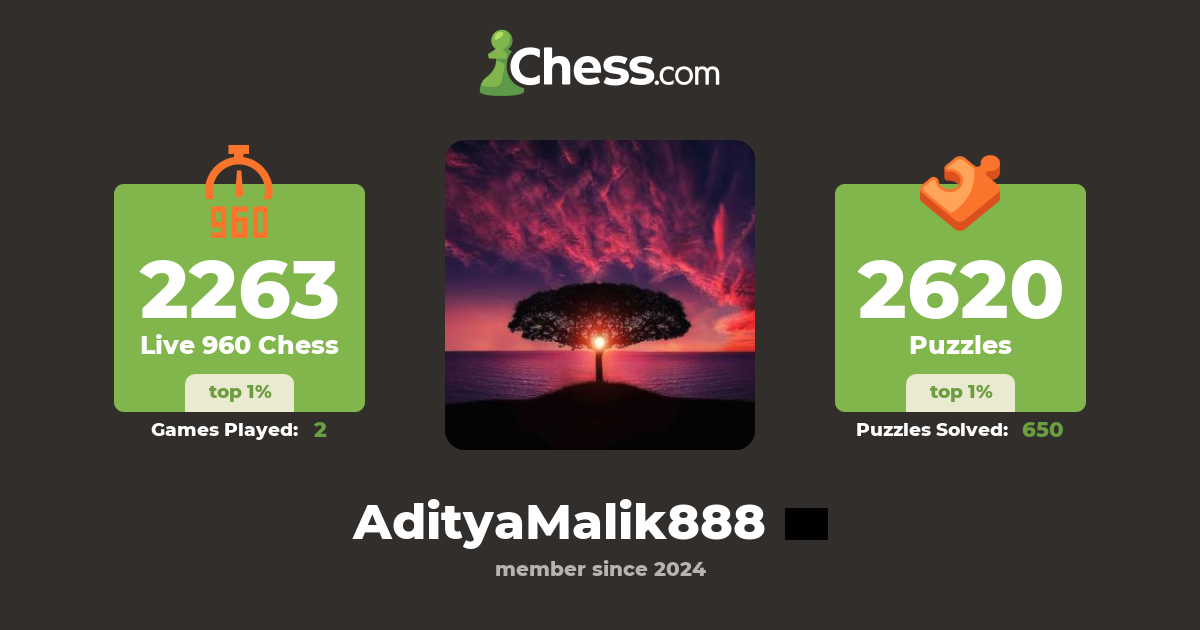 AdityaMalik888 - Chess Profile - Chess.com