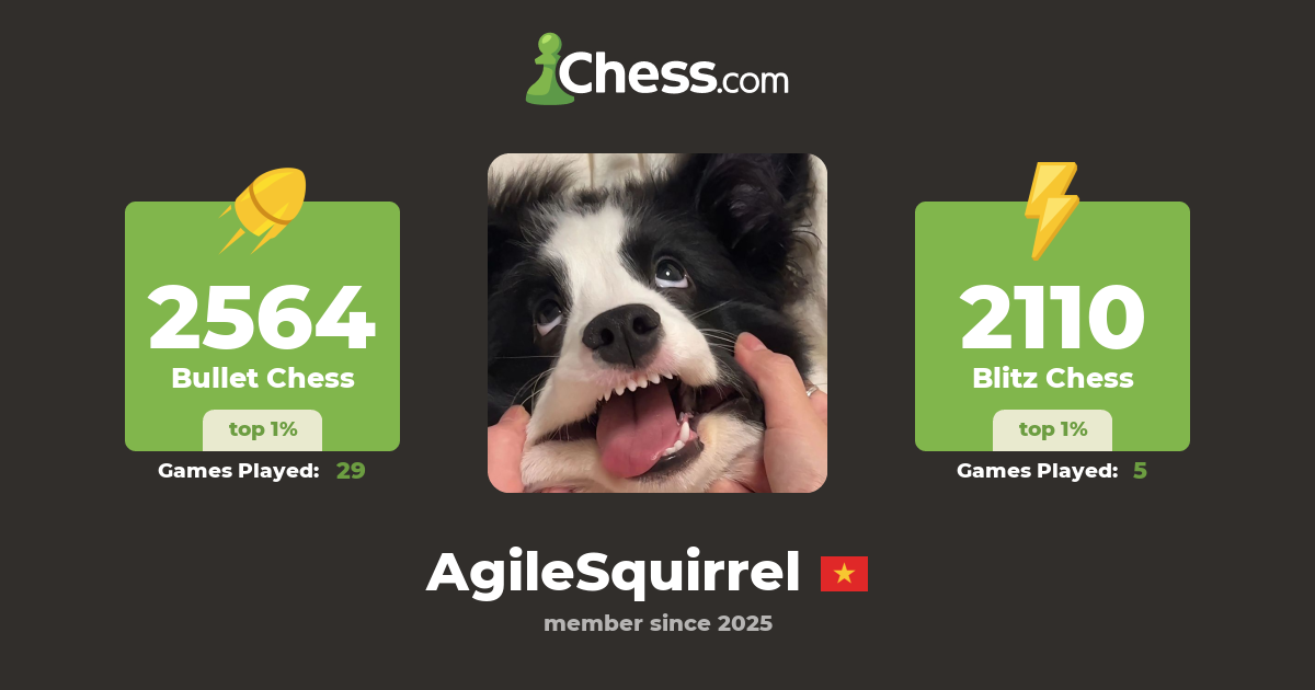 AgileSquirrel - Chess Profile - Chess.com