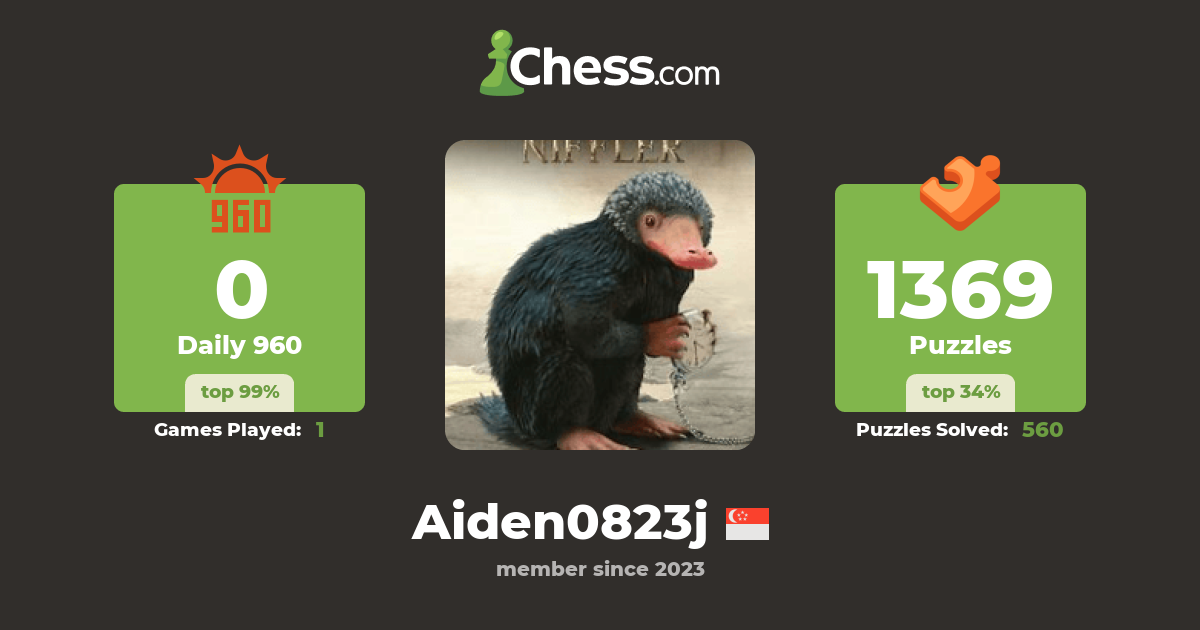 Aiden Lim Shengjie (Aiden0823j) - Chess Profile - Chess.com