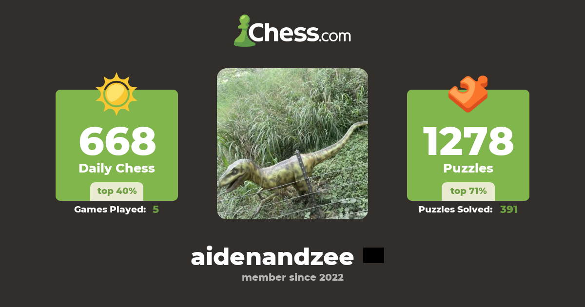 Aiden And Zee (aidenandzee) - Chess Profile - Chess.com