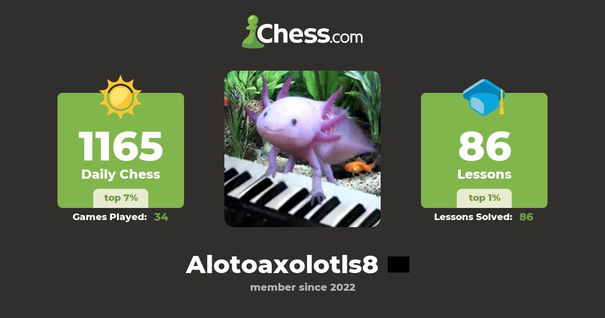 Ryan Tew (Alotoaxolotls8) - Chess Profile - Chess.com