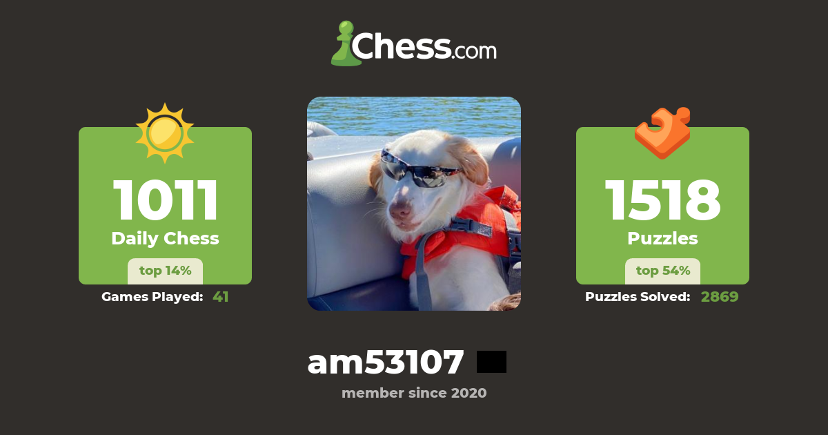 Andrew Milz (am53107) - Chess Profile - Chess.com