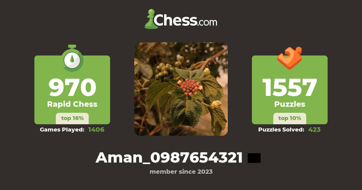 stuck on late 900s (Aman_0987654321) - Chess Profile - Chess.com