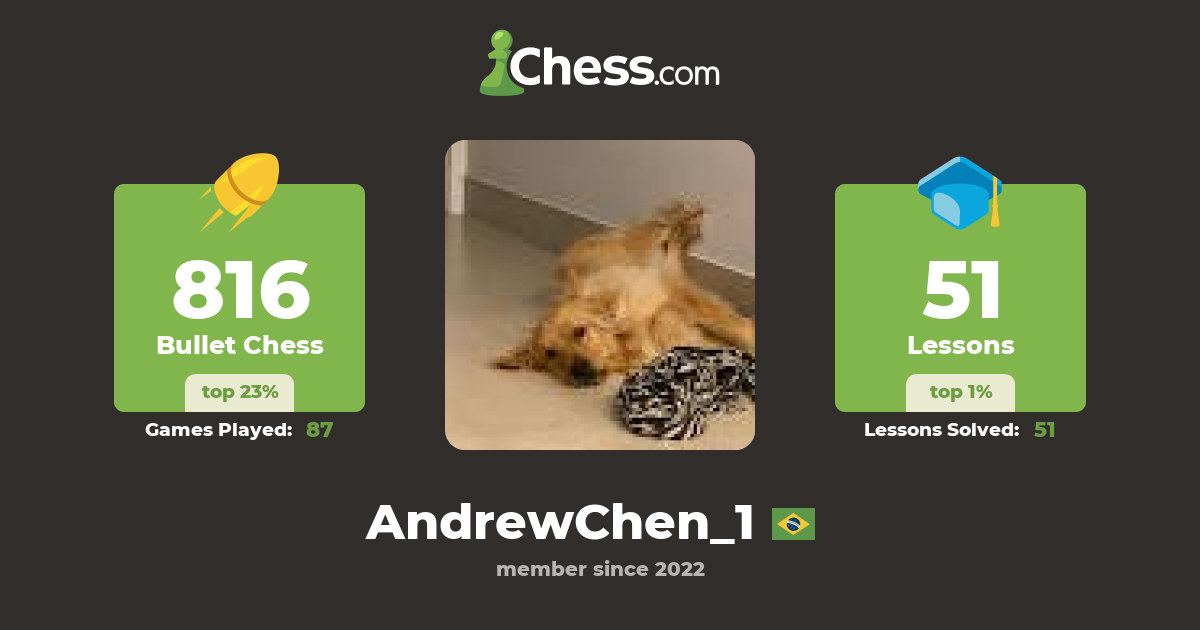 Andrew Chen (AndrewChen_1) - Chess Profile - Chess.com