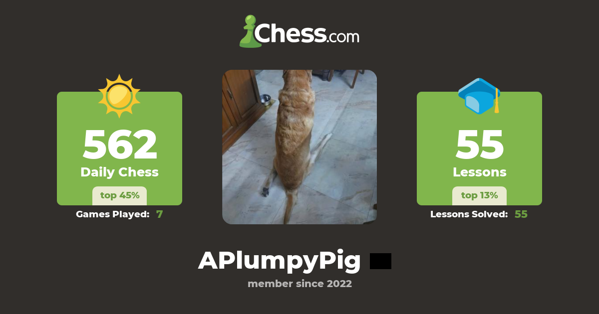 APlumpyPig - Chess Profile - Chess.com