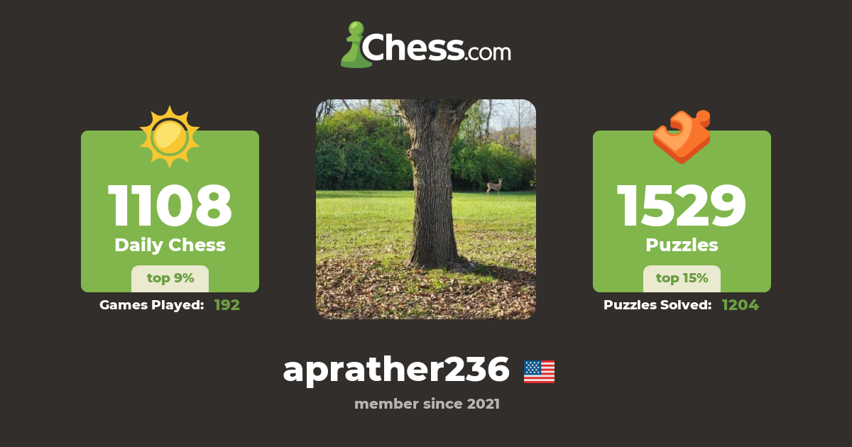 Austin Prather (aprather236) - Chess Profile - Chess.com