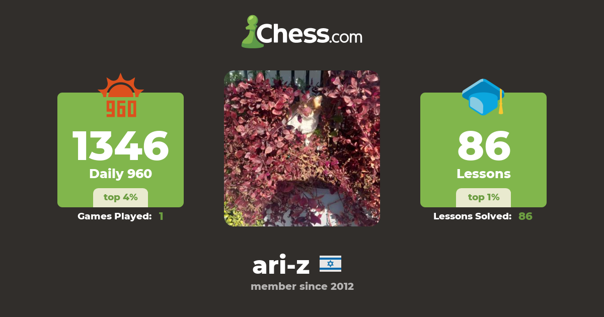 Ari zzzz (ari-z) - Chess Profile - Chess.com