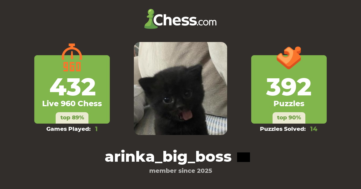 arinka_big_boss - Chess Profile - Chess.com