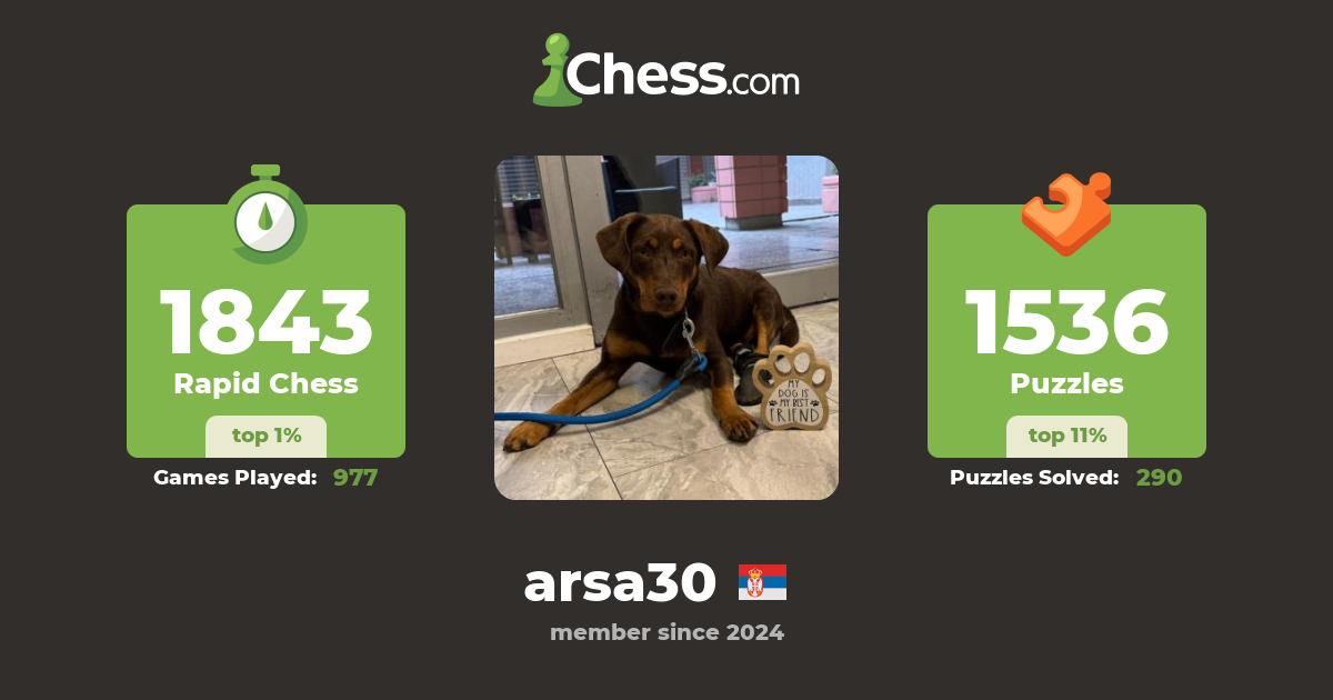 Nemanja Arsic (arsa30) - Chess Profile - Chess.com
