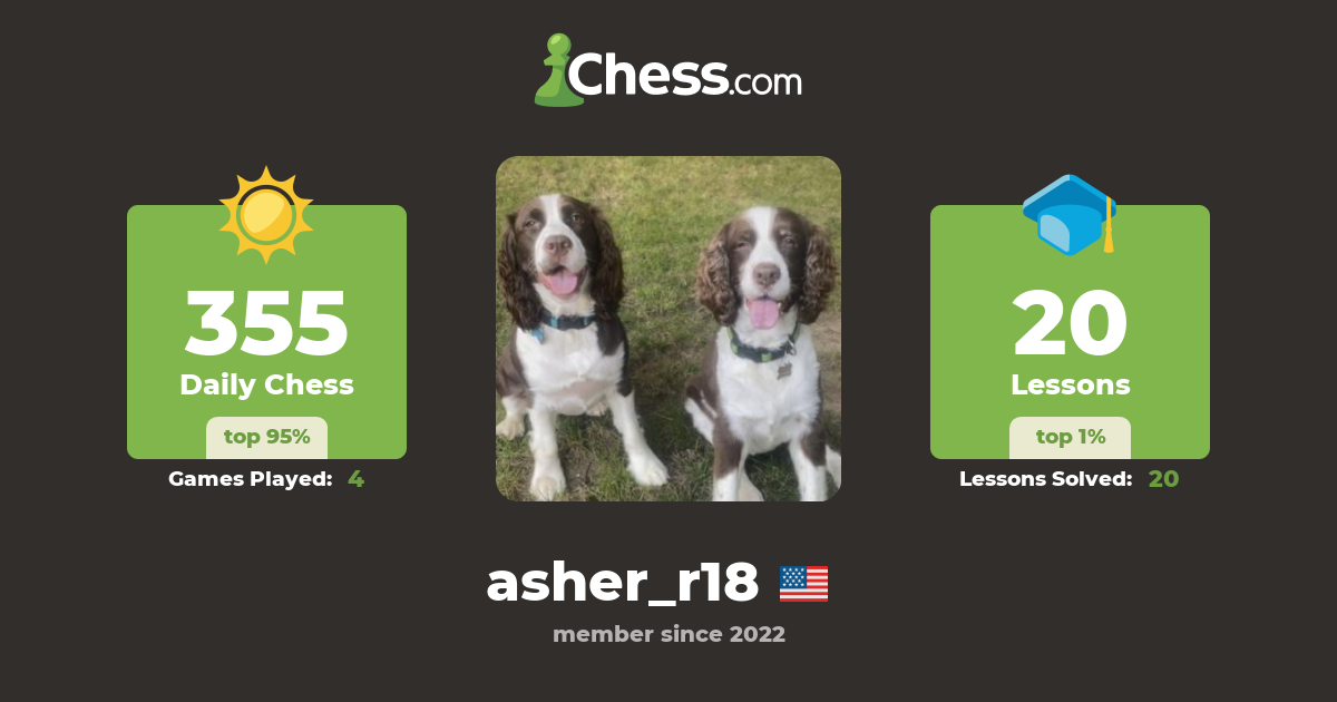 Asher Asher R18 Chess Profile