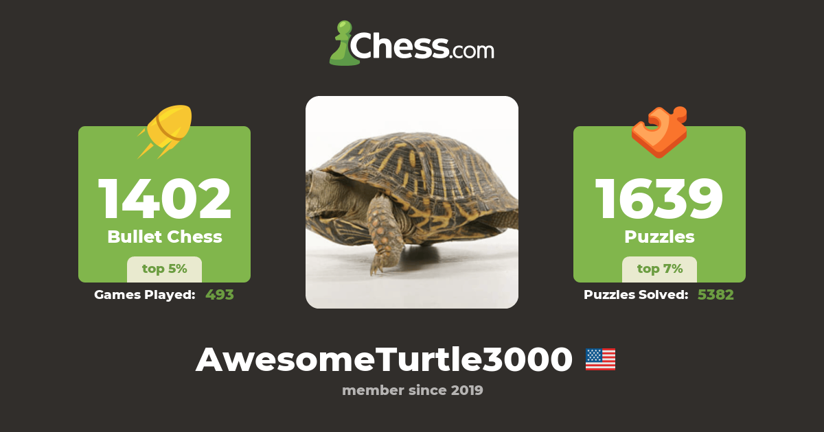 AwesomeTurtle3000 - Chess Profile - Chess.com