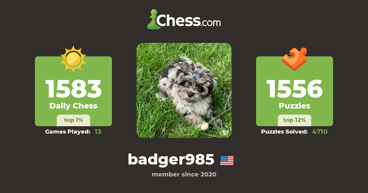 badger985 - Chess Profile - Chess.com