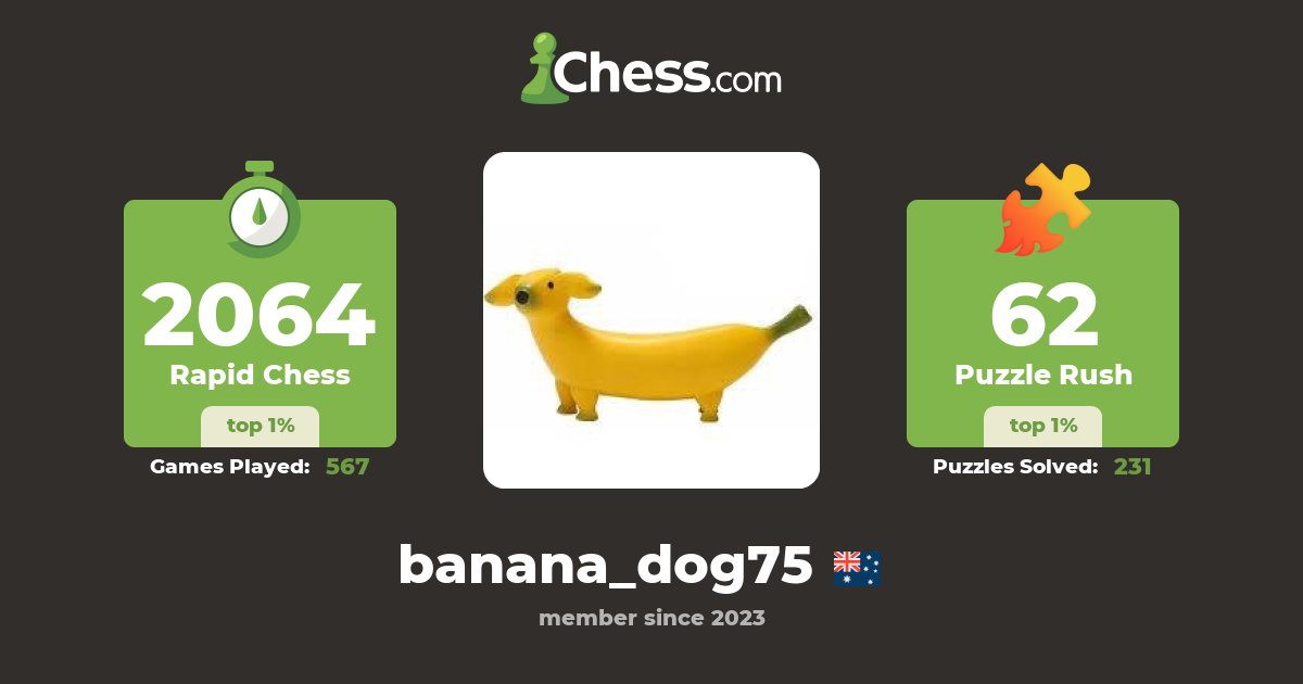 Vincent Contini (banana_dog75) - Chess Profile - Chess.com