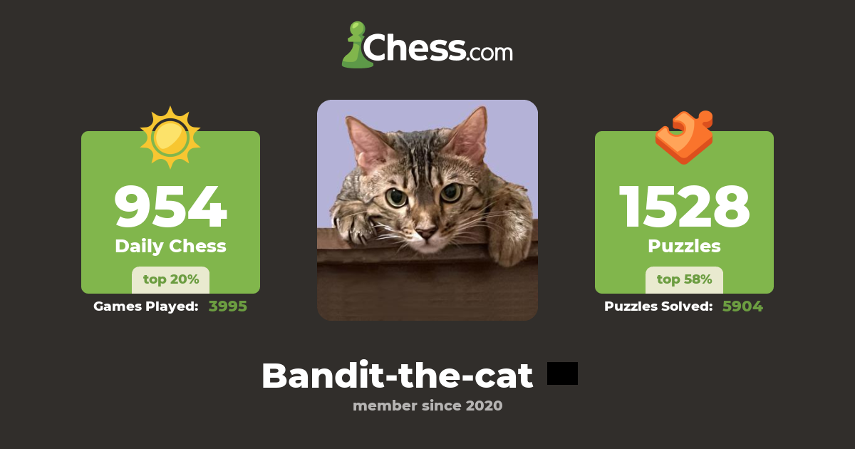 Mark Shaw (Bandit-the-cat) - Chess Profile - Chess.com