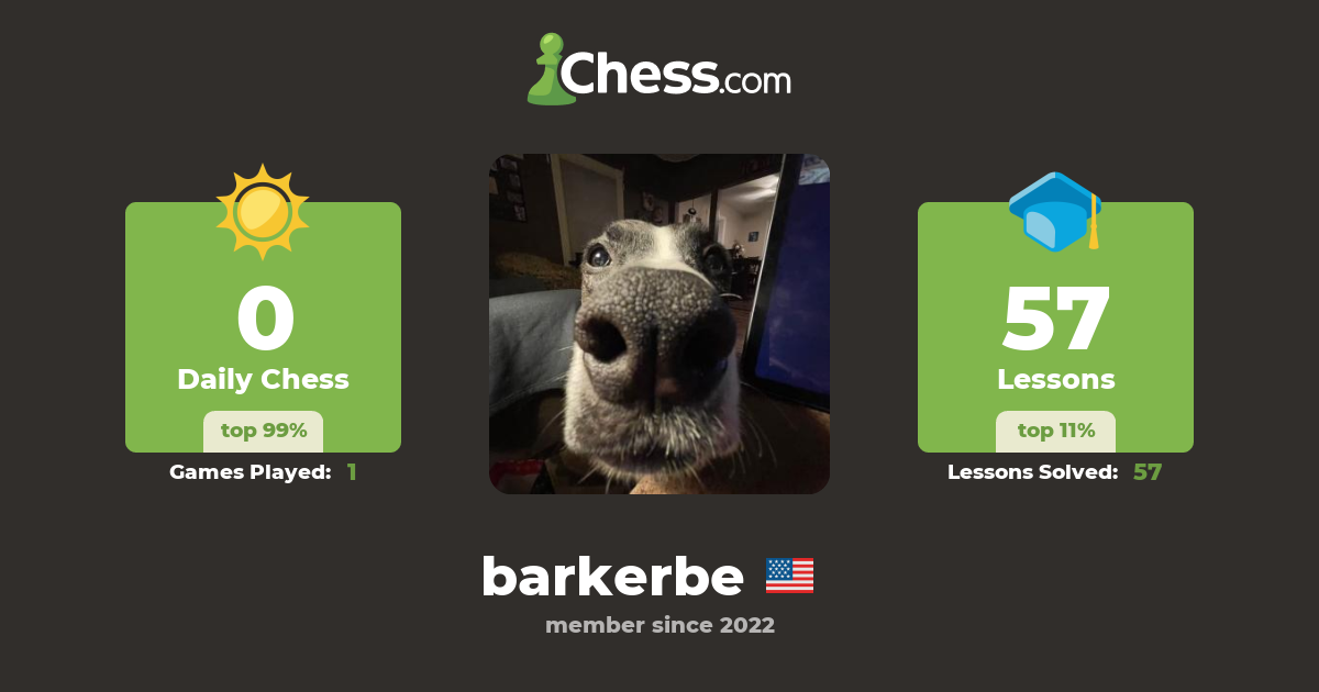 Benjamin Barker (barkerbe) - Chess Profile - Chess.com