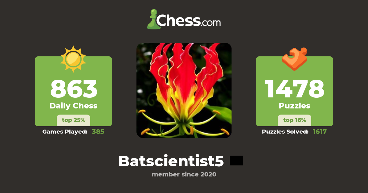 Bat Scientist (Batscientist5) - Chess Profile - Chess.com